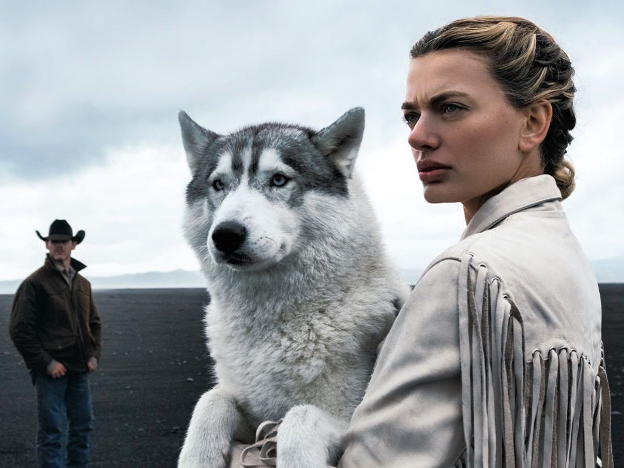 Film Production - Husky Iceland